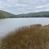 Lower Hadlock Pond Loop Trail, Maine - 618 Reviews, Map | AllTrails