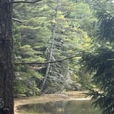 Lower Hadlock Pond Loop Trail, Maine - 618 Reviews, Map | AllTrails