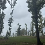 Ellerslie Park Loop, Georgia - 108 Reviews, Map | AllTrails