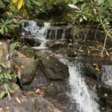 Soco Falls Trail, North Carolina - 837 Reviews, Map | AllTrails