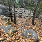 Blackstone Gorge Trail, Massachusetts - 567 Reviews, Map | AllTrails