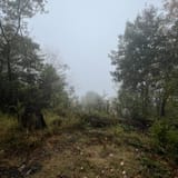 Bear Rocks via Appalachian Trail, Pennsylvania - 482 Reviews, Map ...