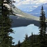Bow Summit Viewpoint, Alberta, Canada - 1,229 Reviews, Map | AllTrails