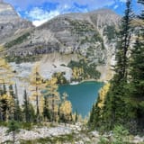The Big Beehive, Alberta, Canada - 4,576 Reviews, Map | AllTrails