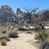 Hidden Valley, California - 6,256 Reviews, Map | AllTrails