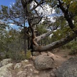 Fatmans Loop Trail, Arizona - 5,937 Reviews, Map | AllTrails