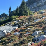 Hidden Lake Lookout, Washington - 2,079 Reviews, Map | AllTrails