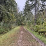Geyser Loop Trail, New York - 2,527 Reviews, Map | AllTrails