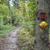 Geyser Loop Trail, New York - 2,527 Reviews, Map | AllTrails