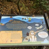 Limberlost Trail, Virginia - 976 Reviews, Map | AllTrails