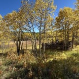 Frazer Meadow via Horseshoe and Mule Deer Loop, Colorado - 2,471 ...
