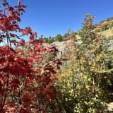 Hidden Valley Trail, Utah - 746 Reviews, Map | AllTrails