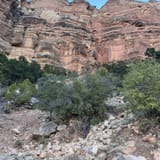 South Kaibab Trail to Cedar Ridge, Arizona - 6,286 Reviews, Map | AllTrails