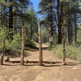 Observation Point via Stave Spring Trailhead, Utah - 485 Reviews, Map ...