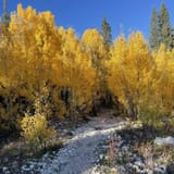 Thomas Lakes Trail, Colorado - 1,679 Reviews, Map | AllTrails