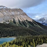 Skoki Loop Backpacking Trail, Alberta, Canada - 354 Reviews, Map ...