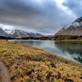 Skoki Loop Backpacking Trail, Alberta, Canada - 354 Reviews, Map ...