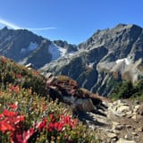 Cascade Pass and Sahale Arm Trail, Washington - 2,180 Reviews, Map ...