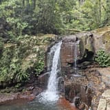 Coomera Circuit Walk, Queensland, Australia - 1,395 Reviews, Map ...