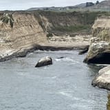 Old Cove Landing Trail, California - 4,172 Reviews, Map | AllTrails
