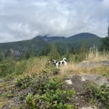 Heybrook Ridge via Leovy Trail, Washington - 1,728 Reviews, Map | AllTrails