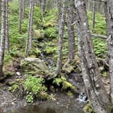 Two Lakes Trail, Alaska - 568 Reviews, Map | AllTrails