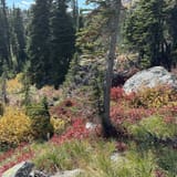 Fault Lake, Idaho - 268 Reviews, Map | AllTrails