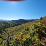 Carpenter Peak Trail, Colorado - 3,836 Reviews, Map | AllTrails