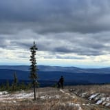 Summit Trail to Wickersham Dome, Alaska - 232 Reviews, Map | AllTrails