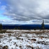Summit Trail to Wickersham Dome, Alaska - 232 Reviews, Map | AllTrails