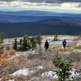 Summit Trail to Wickersham Dome, Alaska - 232 Reviews, Map | AllTrails
