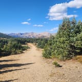 Ute Trail, Colorado - 748 Reviews, Map | AllTrails
