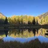 Hope Pass via Willis Gulch Trail, Colorado - 463 Reviews, Map | AllTrails