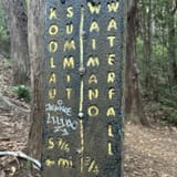 Waimano Falls Trail, Oahu, Hawaii - 5,444 Reviews, Map | AllTrails