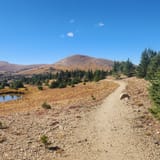 Ute Trail, Colorado - 748 Reviews, Map | AllTrails