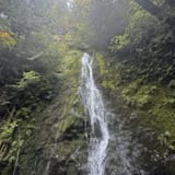 Madison Falls Trail, Washington - 2,118 Reviews, Map | AllTrails