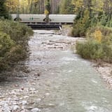 Loop Brook Trail, British Columbia, Canada - 251 Reviews, Map | AllTrails