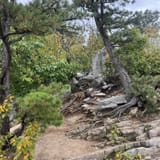 Pole Steeple Trail, Pennsylvania - 997 Reviews, Map | AllTrails