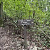 Pole Steeple Trail, Pennsylvania - 997 Reviews, Map | AllTrails