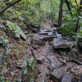Roaring Run Trail, Virginia - 890 Reviews, Map | AllTrails
