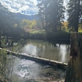 Fenland Trail, Alberta, Canada - 1,007 Reviews, Map | AllTrails