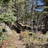 North Fork Big Thompson River Trail Via Dunraven Trailhead, Colorado ...