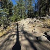 Tubbs Hill, Idaho - 5,021 Reviews, Map | AllTrails