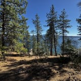 Tubbs Hill, Idaho - 5,021 Reviews, Map | AllTrails