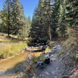 North Fork Big Thompson River Trail Via Dunraven Trailhead, Colorado ...