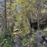 North Fork Big Thompson River Trail Via Dunraven Trailhead, Colorado ...