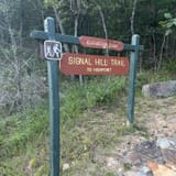 Signal Hill Trail, Arkansas - 983 Reviews, Map | AllTrails