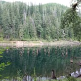 Spider Lake Trail, Washington - 238 Reviews, Map | AllTrails