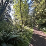 Clatsop Loop Trail from Indian Beach, Oregon - 3,241 Reviews, Map ...