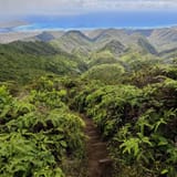 Hawaiʻi Loa Ridge Trail [PRIVATE PROPERTY], Oahu, Hawaii - 1,350 ...